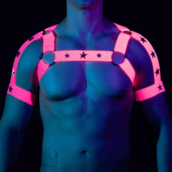 Xpress Harness: Stylish Men's and Gay Harnesses
